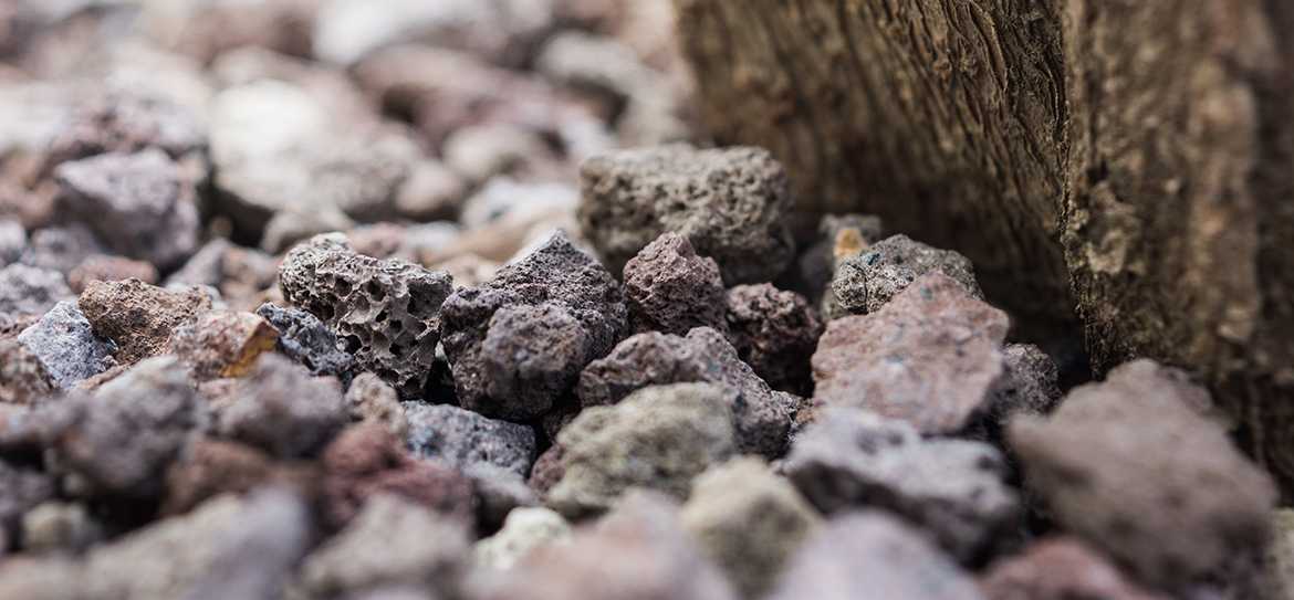 Ein versteckter Hingucker mit tollen Eigenschaften: Lava als Beetabdeckung!
