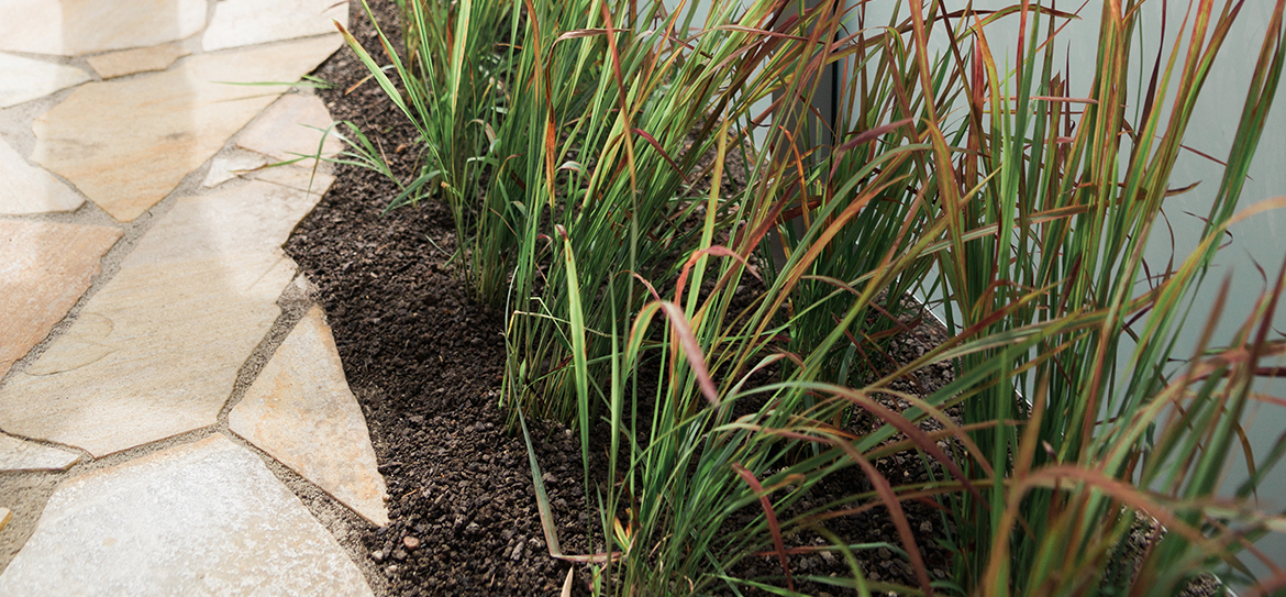 Ein versteckter Hingucker mit tollen Eigenschaften: Lava als Beetabdeckung!