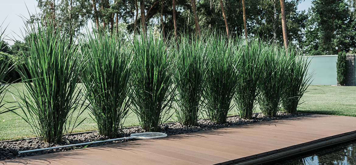 Graeser Fuer Den Garten